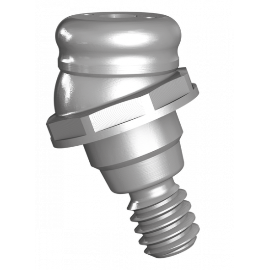 Straumann Bone Level